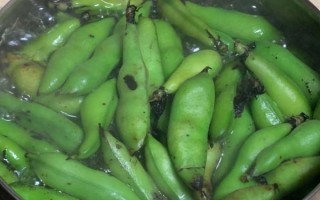 水煮新鲜蚕豆怎么煮_水煮蚕豆要不要焯水