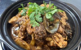 红烧甲鱼炖鸡的做法_红烧甲鱼炖鸡的家常窍门