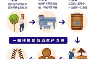 怎样自酿葡萄酒_自酿葡萄酒的正确方法