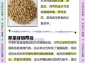 芹菜籽怎么吃降血压效果最好_芹菜籽降血压的正确吃法