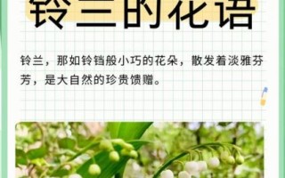 铃兰花语是什么_铃兰适合送什么人