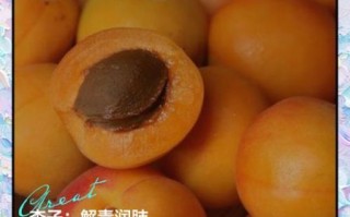 新鲜杏子的功效与作用_吃杏子会上火吗