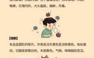 长期喝板蓝根的后果_板蓝根能天天喝吗