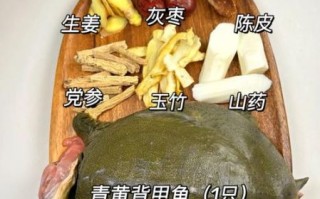 甲鱼汤怎么炖不腥_甲鱼汤的做法窍门