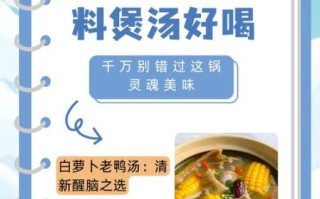 老鸭汤放什么材料最好_老鸭汤怎么炖最营养