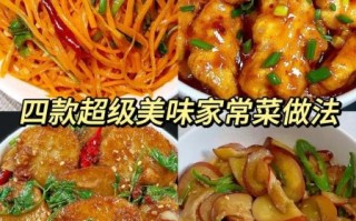家常菜的做法大全_新手也能学会吗