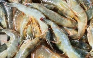 虾酱怎么做好吃_虾酱经典吃法大全视频