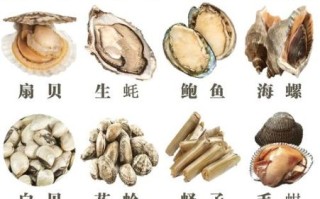 海鲜贝类有哪些_如何挑选新鲜贝类