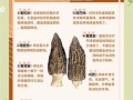 羊肚菌菌种哪里有卖_如何挑选优质菌种