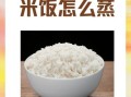隔水蒸米饭要多长时间_隔水蒸米饭的正确做法