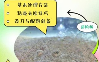 清蒸多宝鱼怎么杀_多宝鱼宰杀去内脏步骤