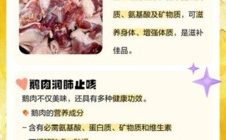 鹅肉的功效与作用_鹅肉哪些人不能吃