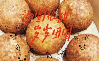油炸汤圆的做法大全_汤圆怎么炸不爆裂
