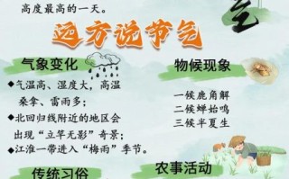 夏至小说结局是什么_夏至小说人物关系梳理