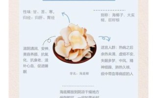 海底椰的功效与作用_海底椰的禁忌人群有哪些