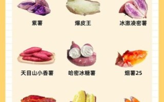 红薯有什么功效_红薯怎么吃最健康