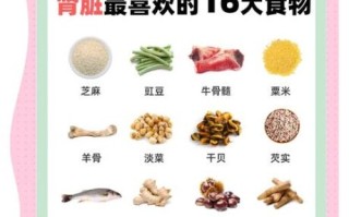 肾阳虚吃什么食物好_肾阳虚最佳10食物