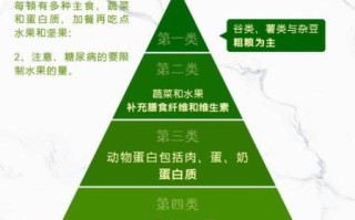 健康饮食金字塔_如何搭配一日三餐