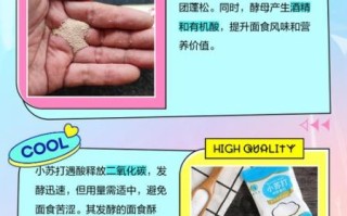 酵母粉和小苏打的区别_哪个更健康