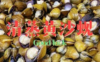 黄蚬子怎么吐沙子_黄蚬子吐沙子最快的方法