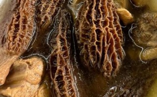 野生羊肚菌怎么吃_野生羊肚菌做法大全