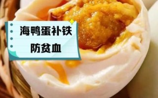 海鸭蛋的功效与作用_海鸭蛋的禁忌有哪些