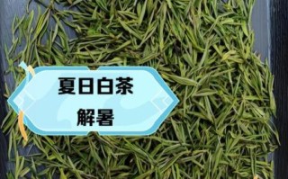 白茶适合什么季节喝_白茶适合夏天还是冬天