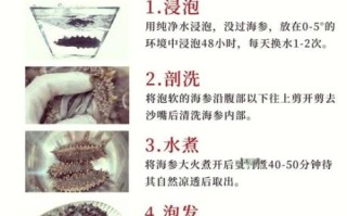 自发干海参的简单做法_干海参怎么泡发最快