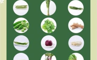 减肥吃什么蔬菜好_哪些蔬菜热量最低