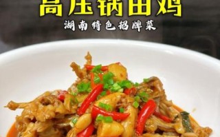 电压力锅做菜食谱大全视频_电压力锅做菜食谱大全视频有哪些