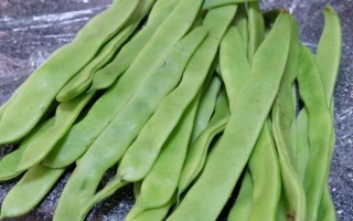 大宽扁豆图片大全_大宽扁豆长什么样