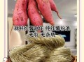 红薯粉条怎么做好吃_正宗红薯粉条多少钱一斤