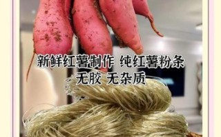 红薯粉条怎么做好吃_正宗红薯粉条多少钱一斤