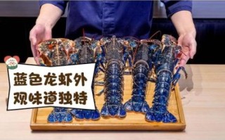 澳洲蓝龙虾多少钱一斤_澳洲蓝龙虾怎么做好吃