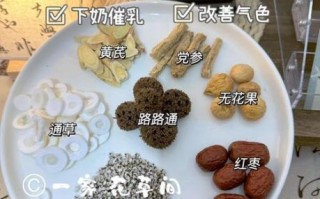 通草真的可以下奶吗_通草下奶的正确吃法