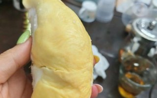 榴莲核能生吃吗_榴莲核怎么吃才安全