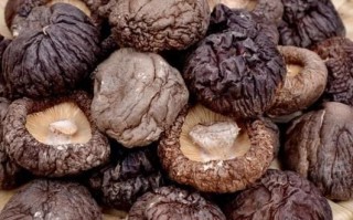 肉菇怎么挑选_肉菇和香菇的区别