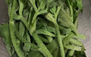 冰草沙拉酱怎么做_冰草沙拉酱做法窍门