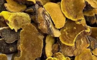 防癌抗癌食物第一名中药_真的有用吗