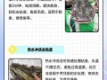 鲶鱼怎么去除粘液_鲶鱼去粘液用什么方法