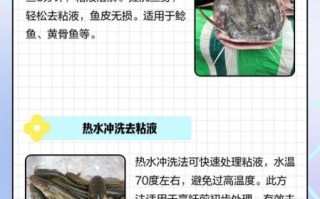 鲶鱼怎么去除粘液_鲶鱼去粘液用什么方法