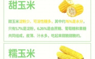 糯玉米的功效与作用_糯玉米能减肥吗