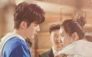 冰糖炖雪梨电视剧剧情讲了什么_冰糖炖雪梨结局是什么