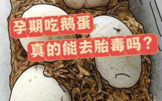 女性每天吃鹅蛋可以吗_孕妇吃鹅蛋安全吗