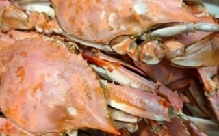 迷你八爪鱼怎么做好吃_迷你八爪鱼家常做法