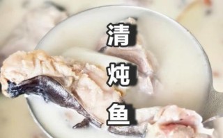 鱼炖汤怎么炖才白_鱼汤去腥技巧