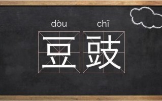 豆豉怎么读_豆豉读成豆shi对吗