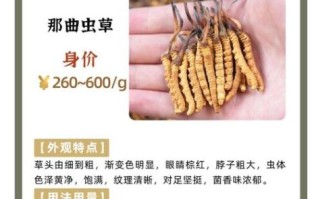 人工虫草多少钱一斤_人工虫草价格影响因素