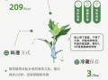 菊花脑是什么菜_菊花脑怎么吃最好