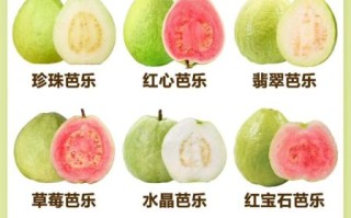 番石榴和石榴的区别_哪个营养价值更高